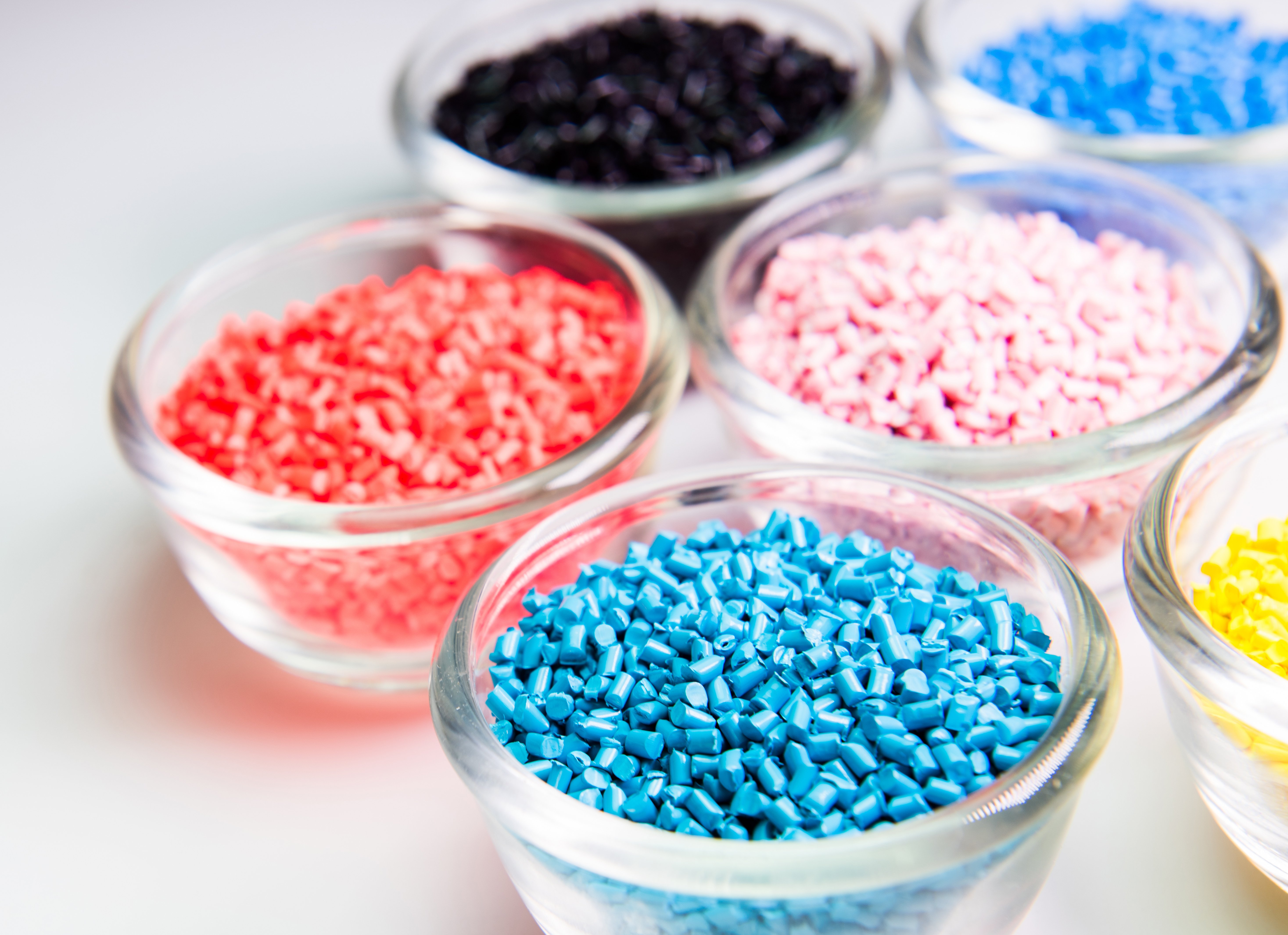 Suppliers - Listing | EN